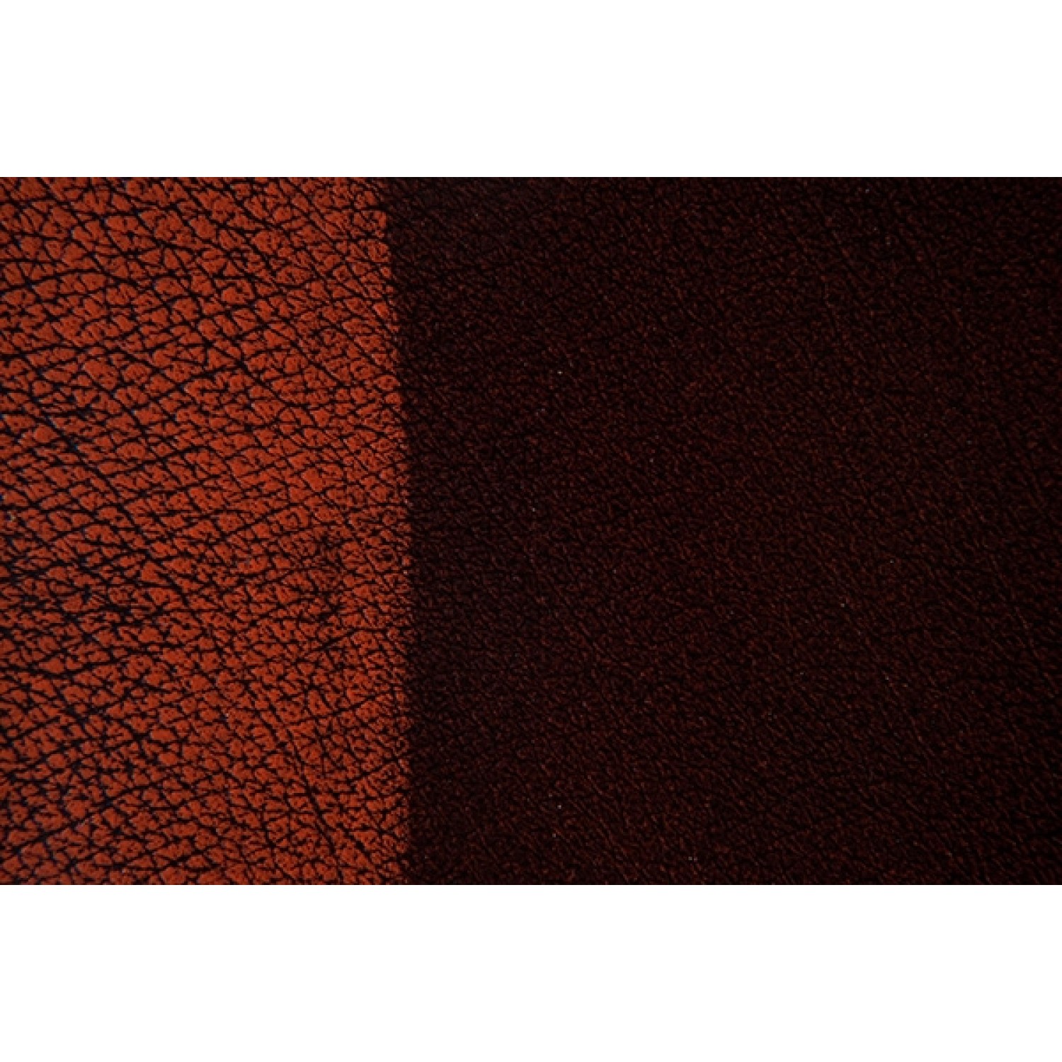 48'' to 60'' Extendable Mini Majestic Club Fender - Brass